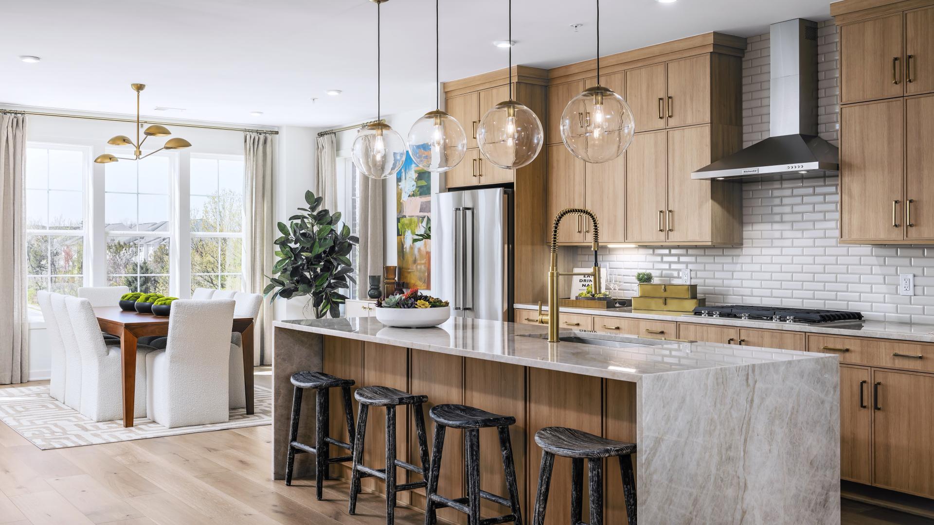 Walney Classic Quick Move-In Home at 22130 Little Mount Terr in Metro Walk at Moorefield Station ...