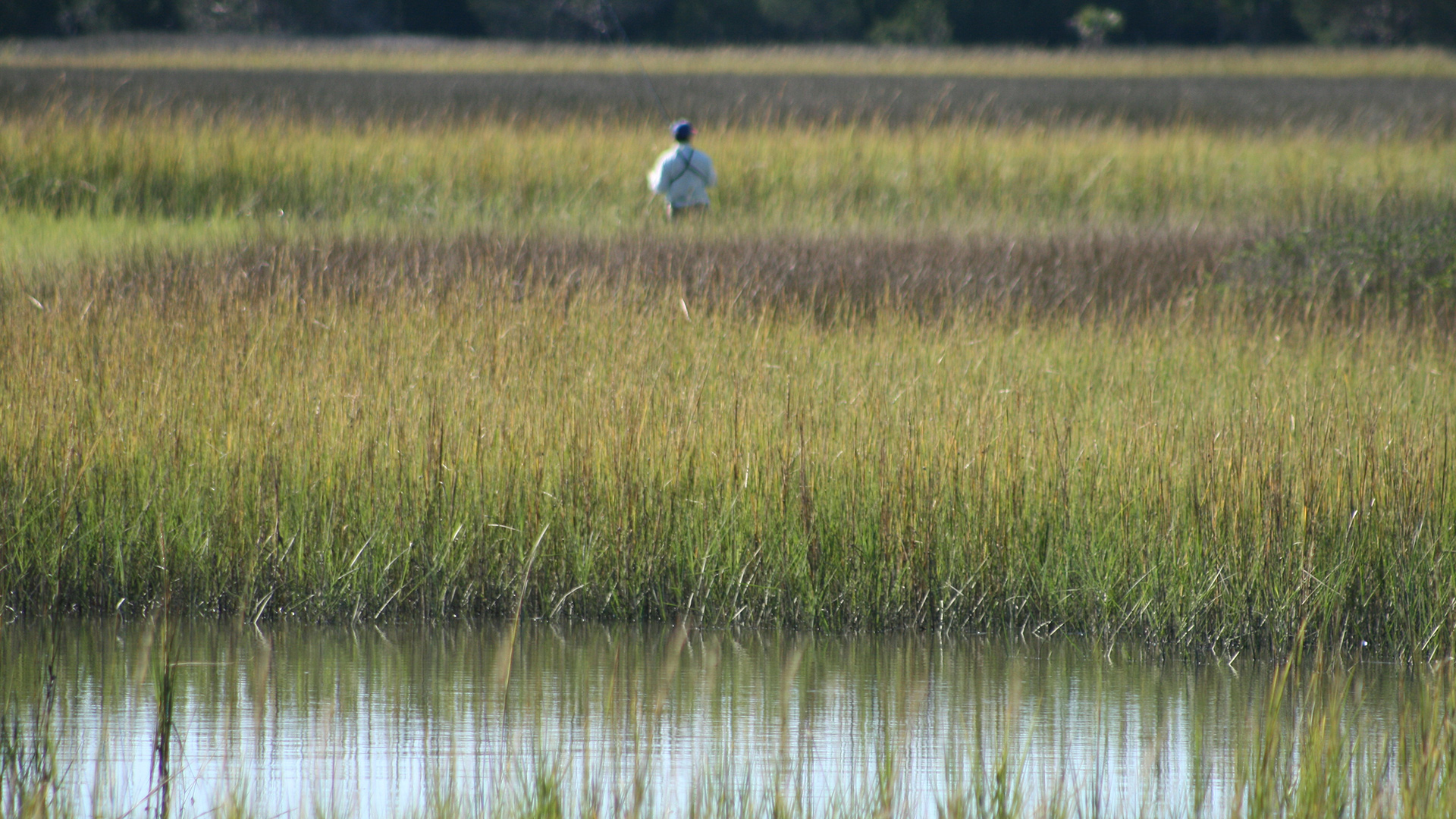 New Luxury Homes for Sale in Charleston, SC | Point Hope