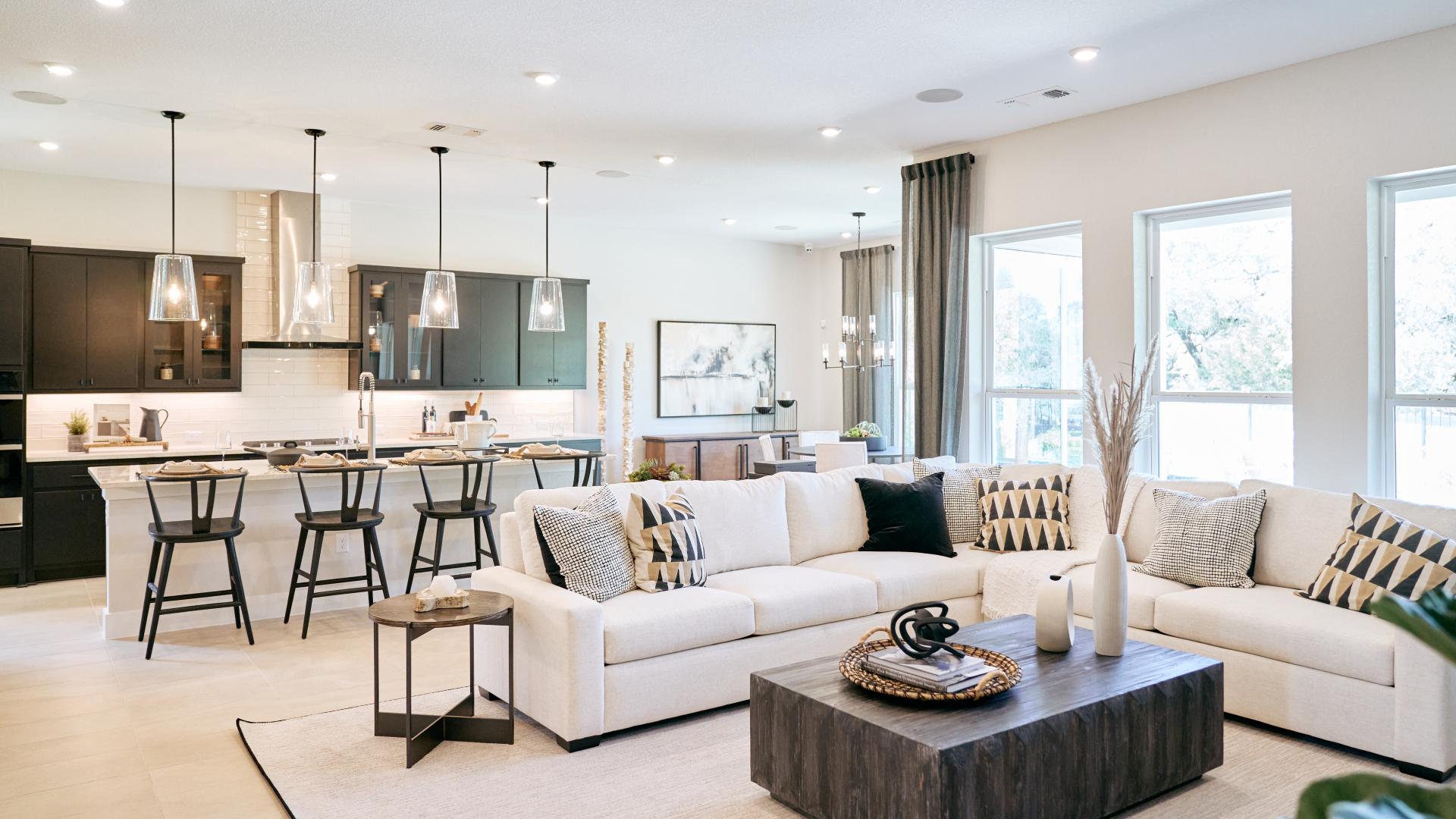 New Luxury Homes for Sale in Liberty Hill, TX | Regency at Santa Rita ...