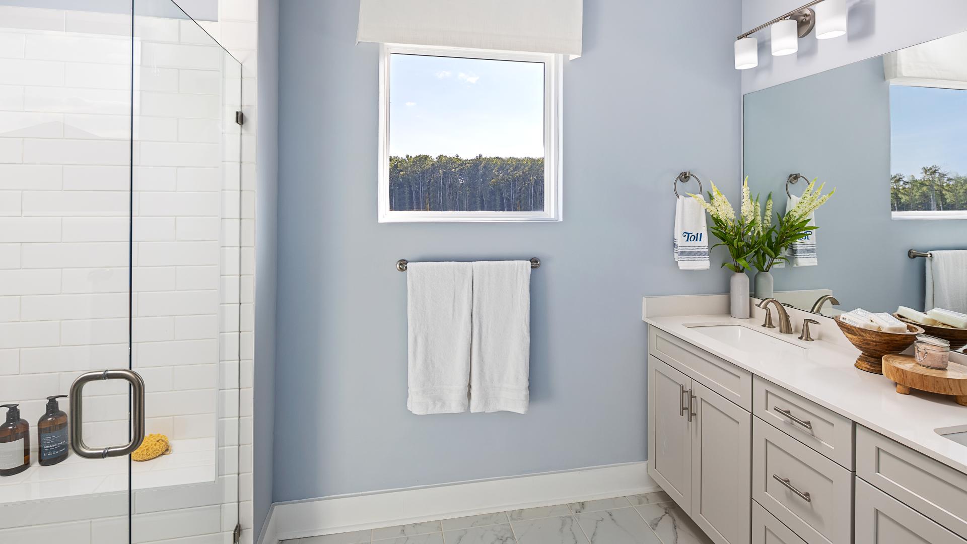 New Home Community Griffith Lakes - Towne Collection in Charlotte, NC ...