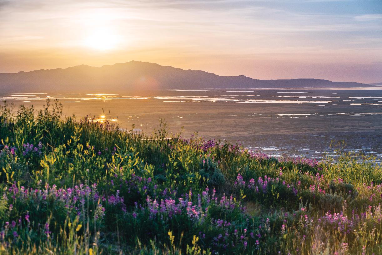 New Homes in Uintah UT - New Construction Homes | Toll Brothers®